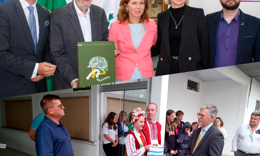 Embaixador da Ucrânia no Brasil, Andrii Melnyk se encontra o Vice ...